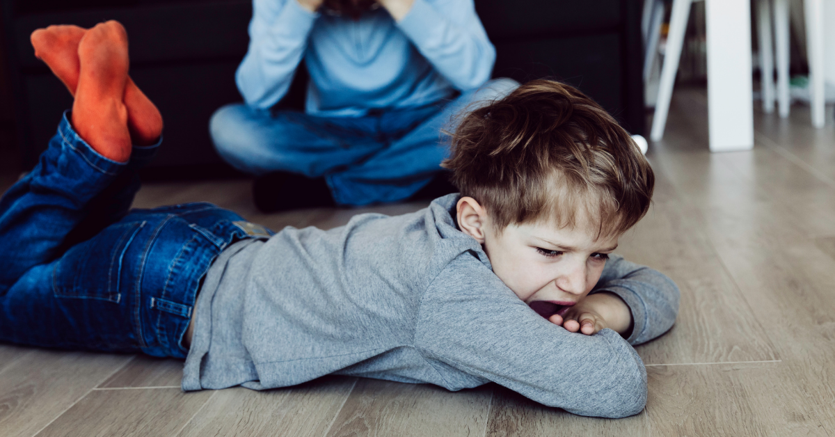 The Anatomy of an Autistic Meltdown – Big Abilities
